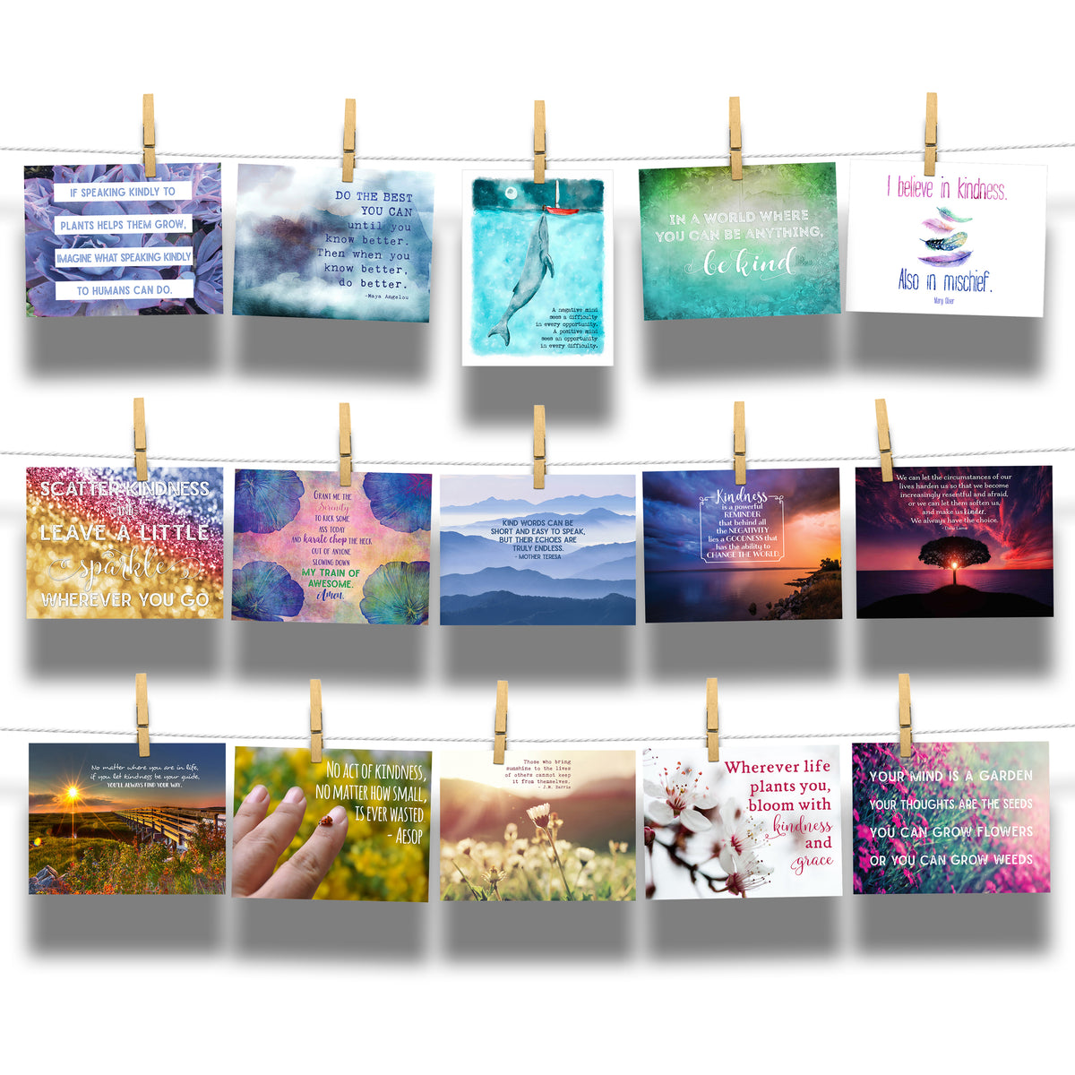 Life of the Kind Postcards with a Positive Message