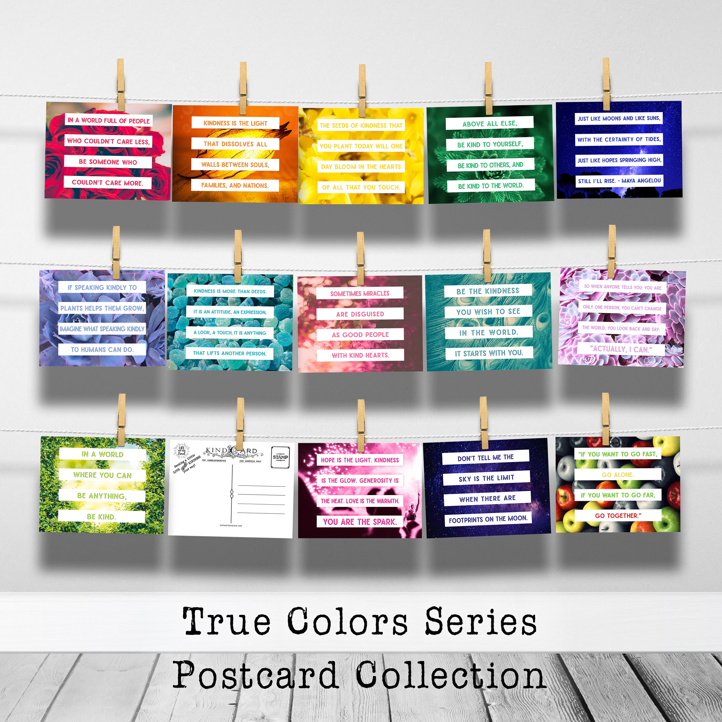 True Colors Postcard Collection – Life of the Kind